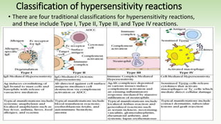 Hypersensitivity reactions BY GROUP 1.pptx