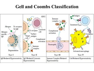 Types of Hypersensitivity Reactions.pptx