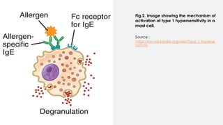 Hypersensitivity Type 1 and Type 2.pptx. | PPTX