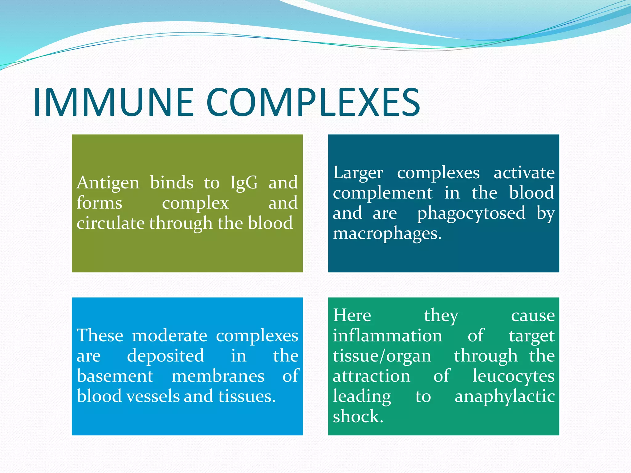 Hypersensitivity type -3 reactions | PPTX