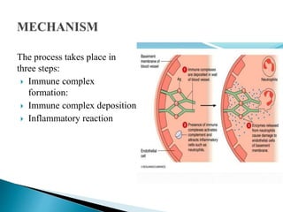 Hypersensitivity type 3 | PPT