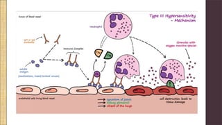 HYPERSENSITIVITY TYPE III.pptx