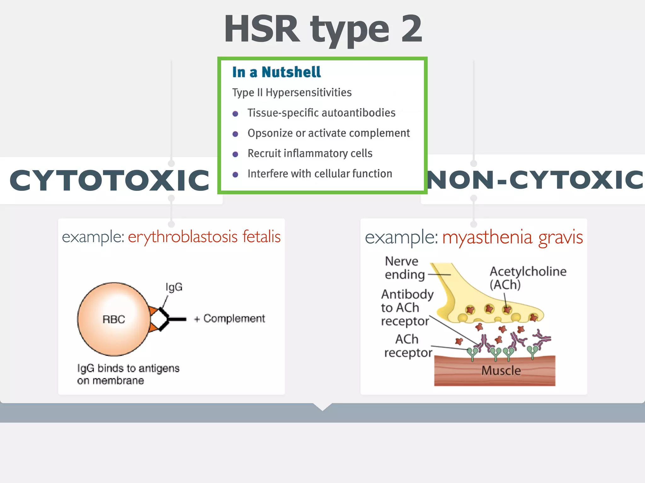 Hypersensitivity types | PPT