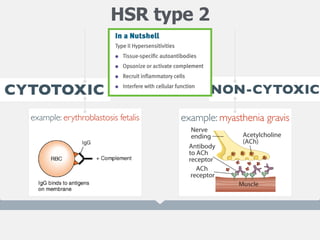 Hypersensitivity types | PDF