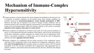Immunology - Hypersensitivity Types 3,4,5.pptx
