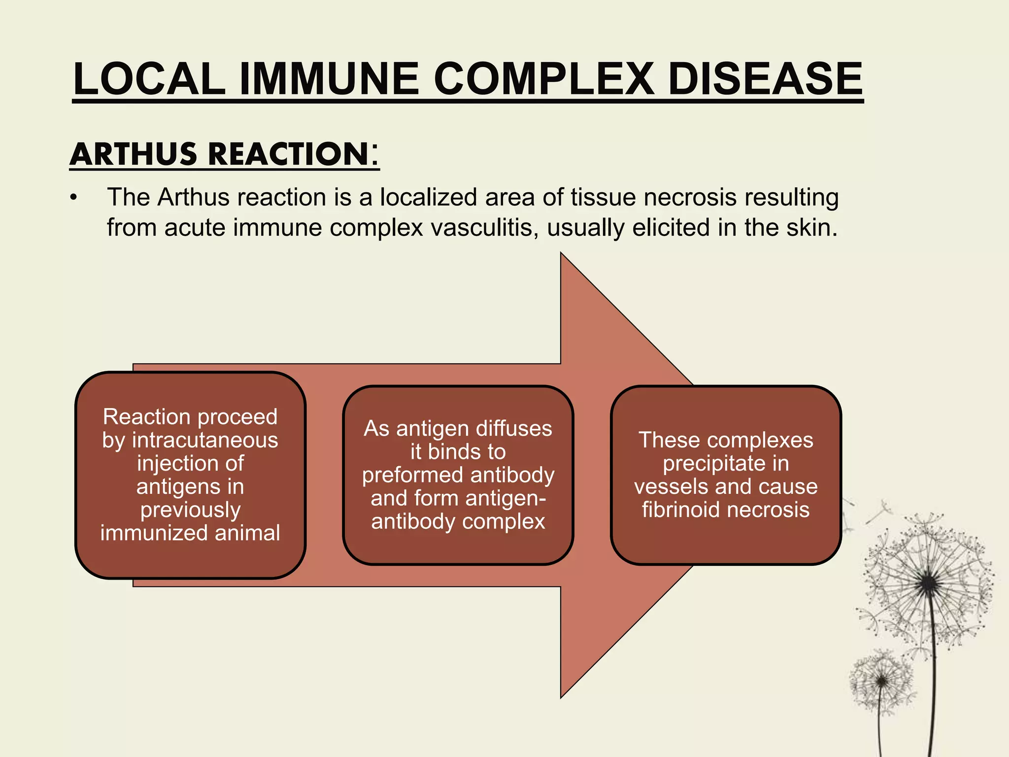 Hypersensitivity pathology by urooj umer | PPTX