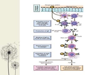 Hypersensitivity pathology by urooj umer | PPTX