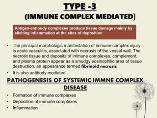 Hypersensitivity pathology by urooj umer | PPT