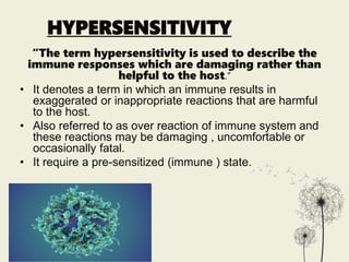 Hypersensitivity pathology by urooj umer | PPT