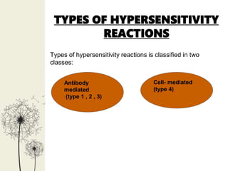 Hypersensitivity pathology by urooj umer | PPTX