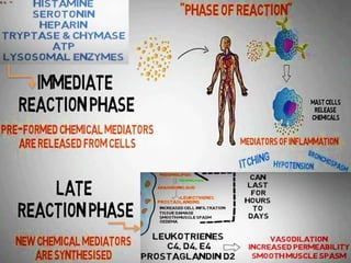 Hypersentivity reactions | PPT