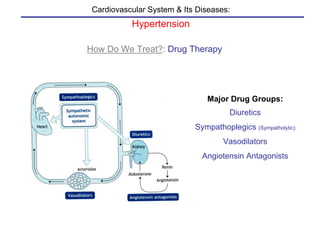 Hypertension | PPT