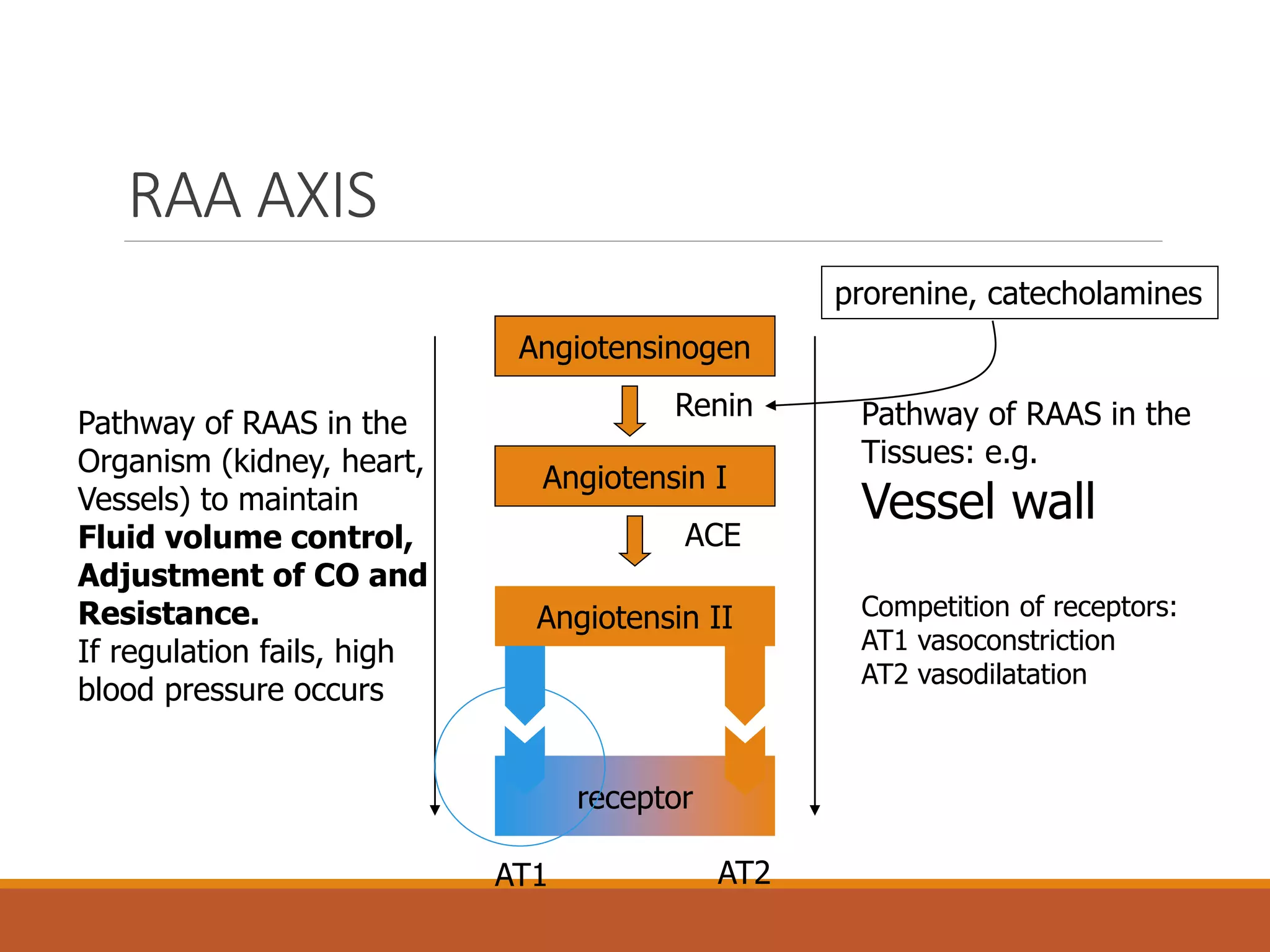 AntiHypertensive Drugs | PPTX