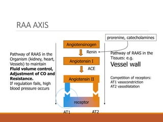 AntiHypertensive Drugs | PPTX
