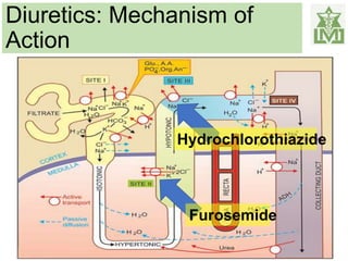 Drugs used for the treatment of Hypertension | PPTX