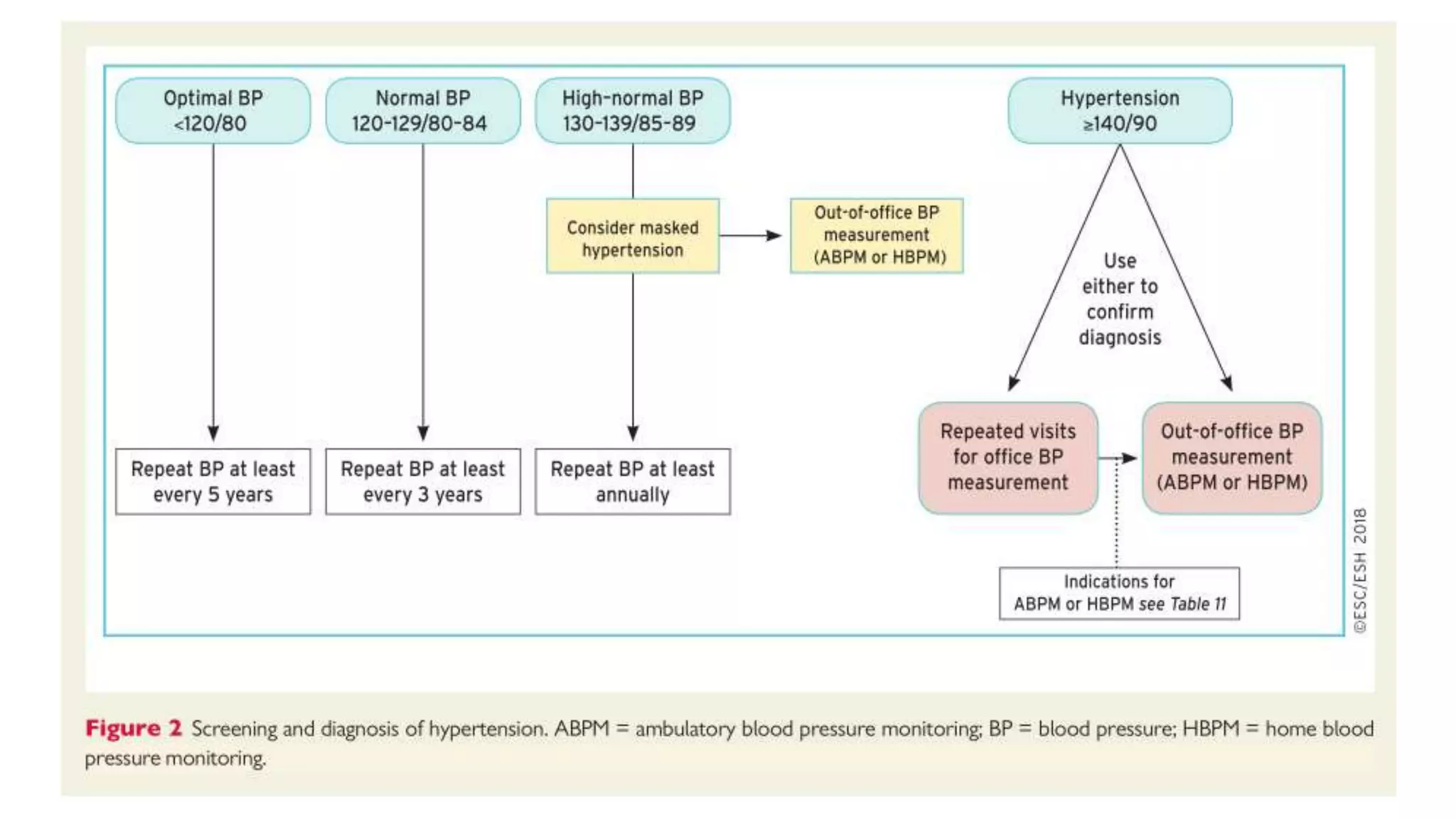 Hypertension management for primary health care | PPTX