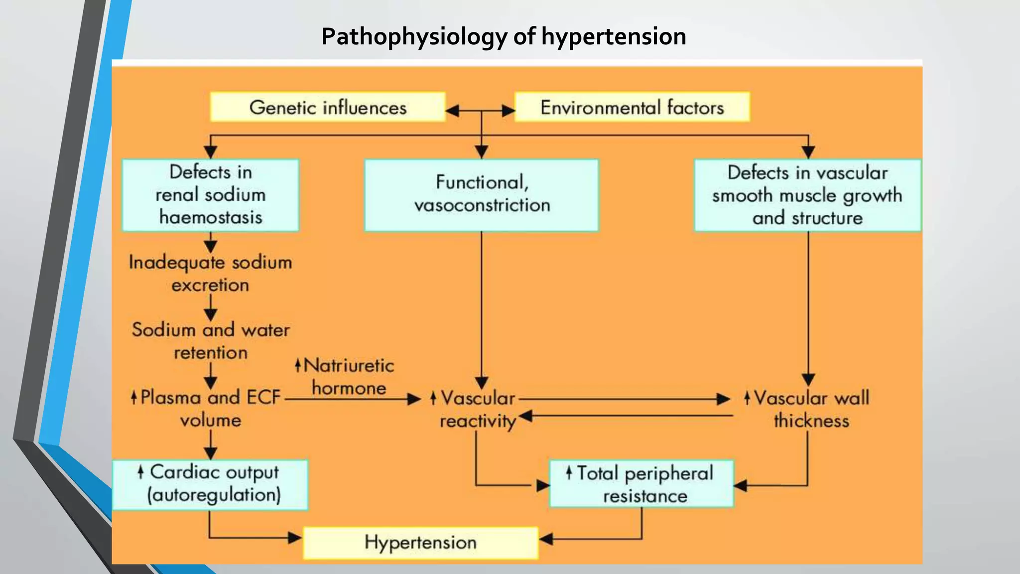 Hypertension | PPTX