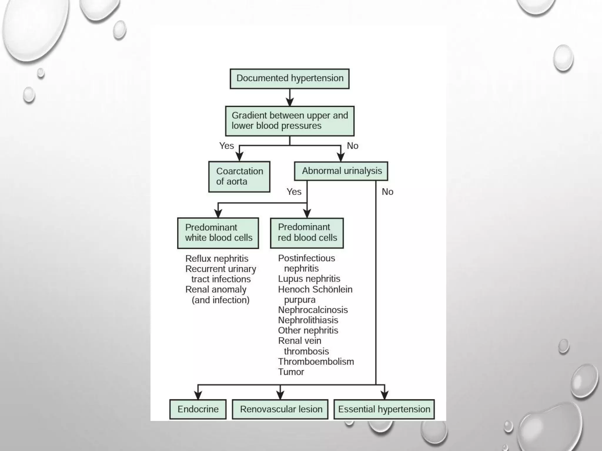 Pediatric Hypertension definition, classification, etiology, management ...