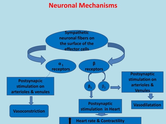 hypertension-definition,causes,diagnosis.pptx
