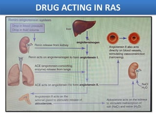 Hypertension and drug used for treatment of hypertension | PPTX