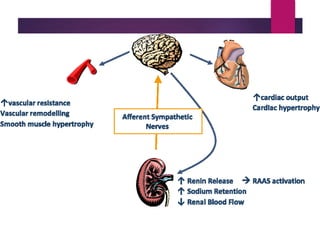 hypertension.pptx adult health nursing ppt | PPT