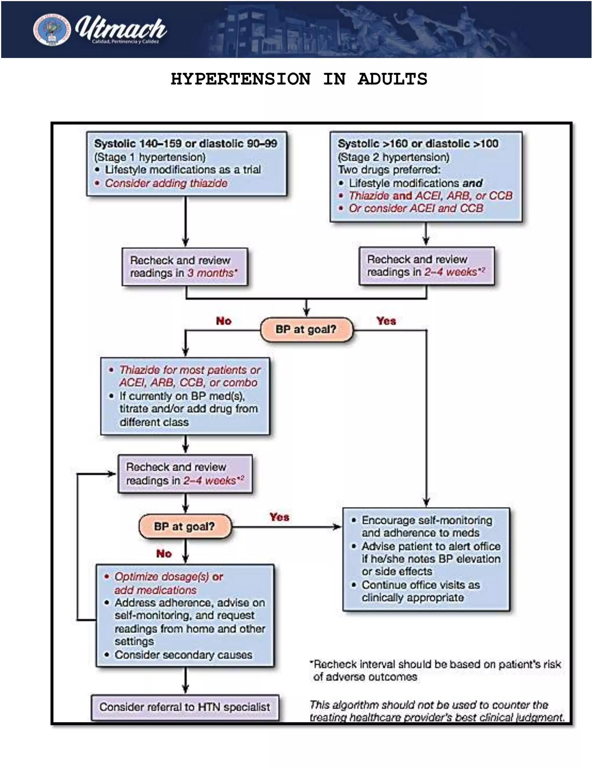 Hypertension algorithm | PDF