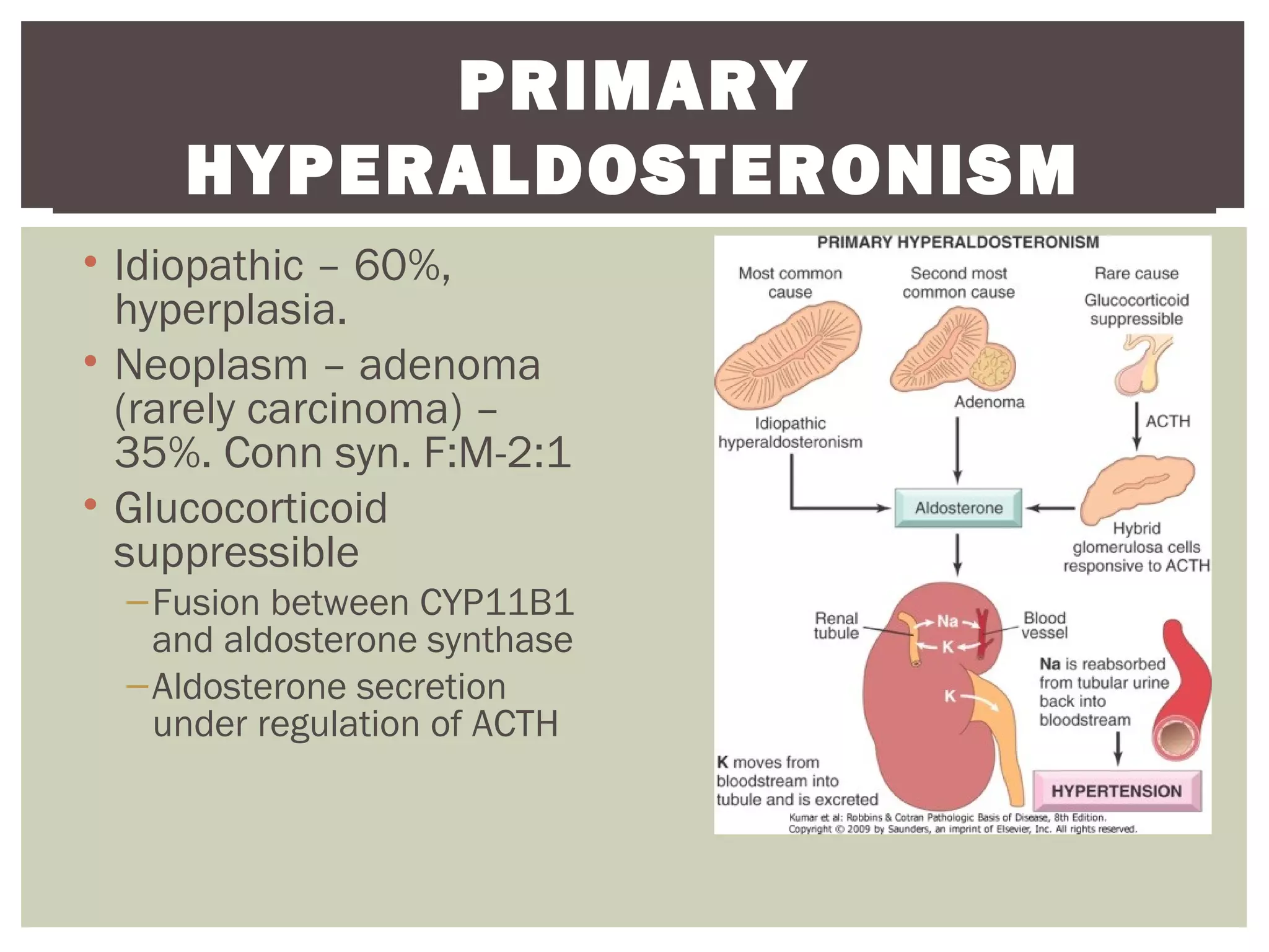 Hypertension according to harrison | PPT