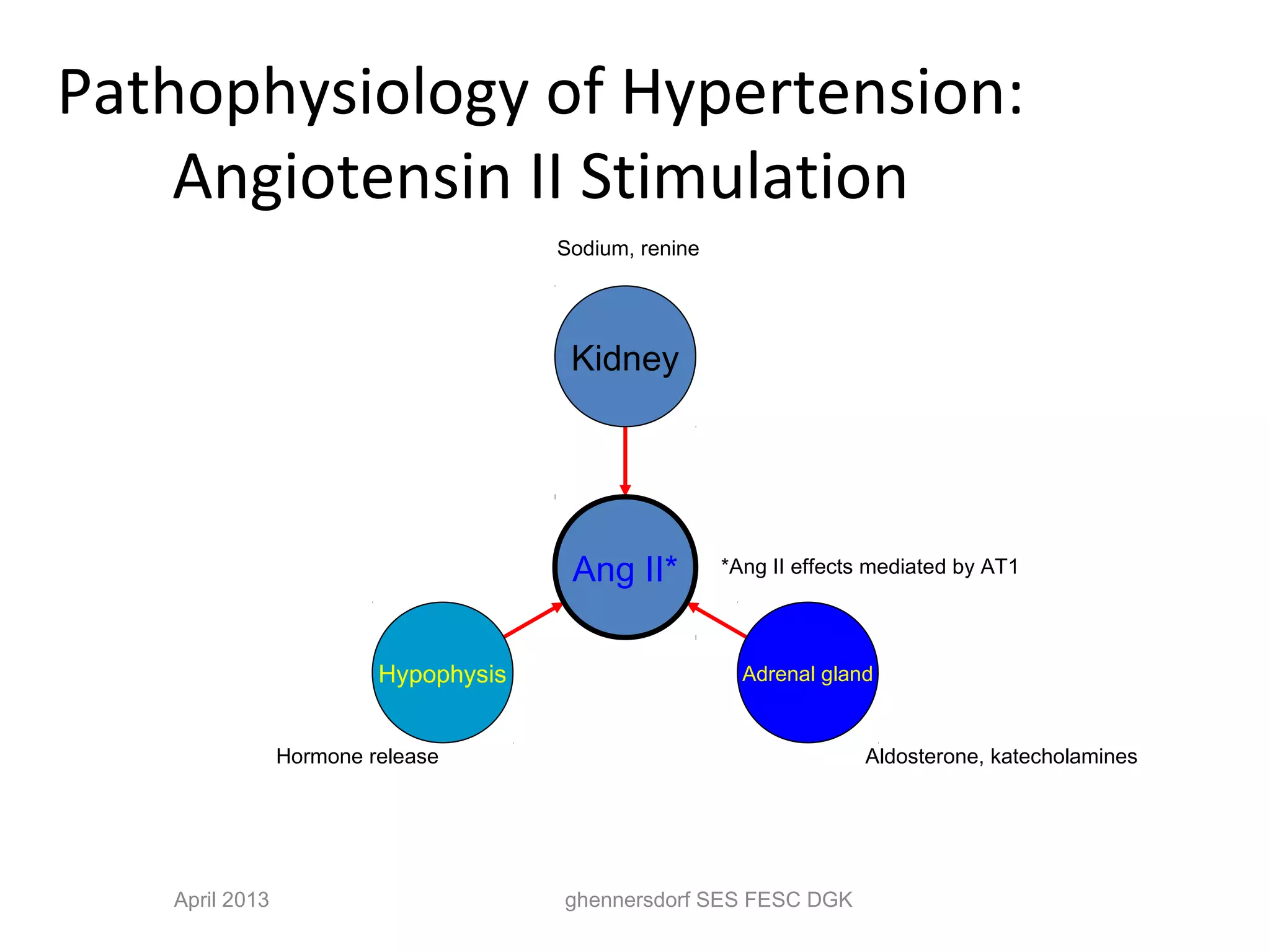 Hypertension 2013 Pathophysiology | PPT