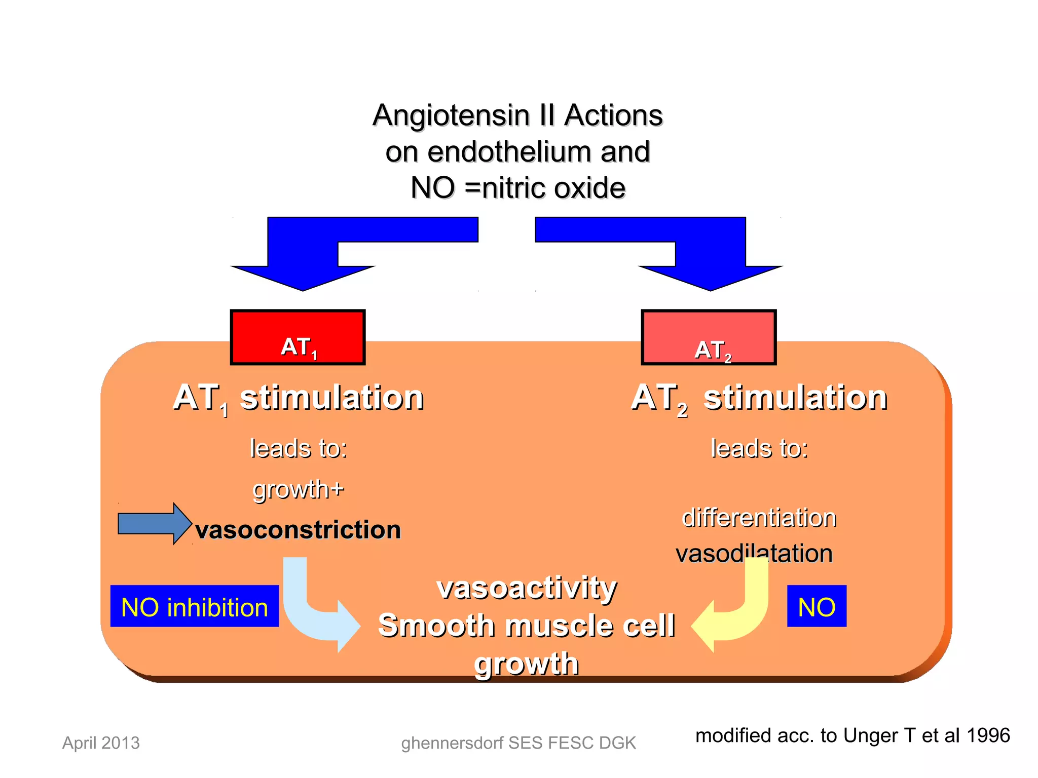 Hypertension 2013 Pathophysiology | PPT