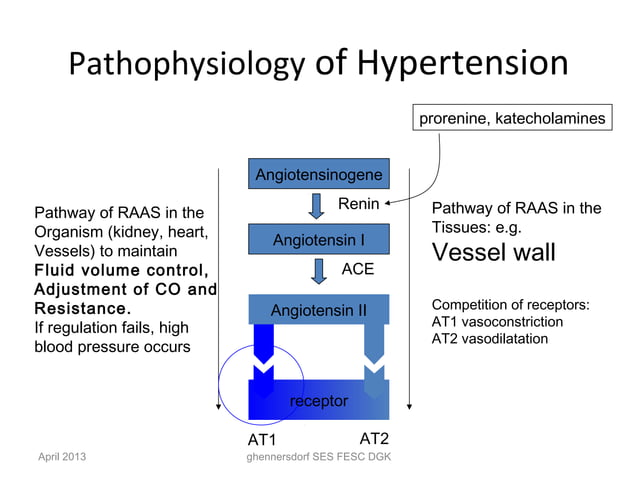 Hypertension 2013 Pathophysiology | PPT | Heart and Cardiovascular ...