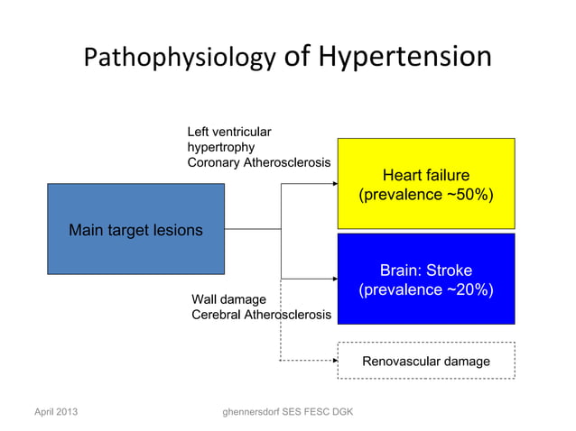 Hypertension 2013 Pathophysiology | PPT | Heart and Cardiovascular ...