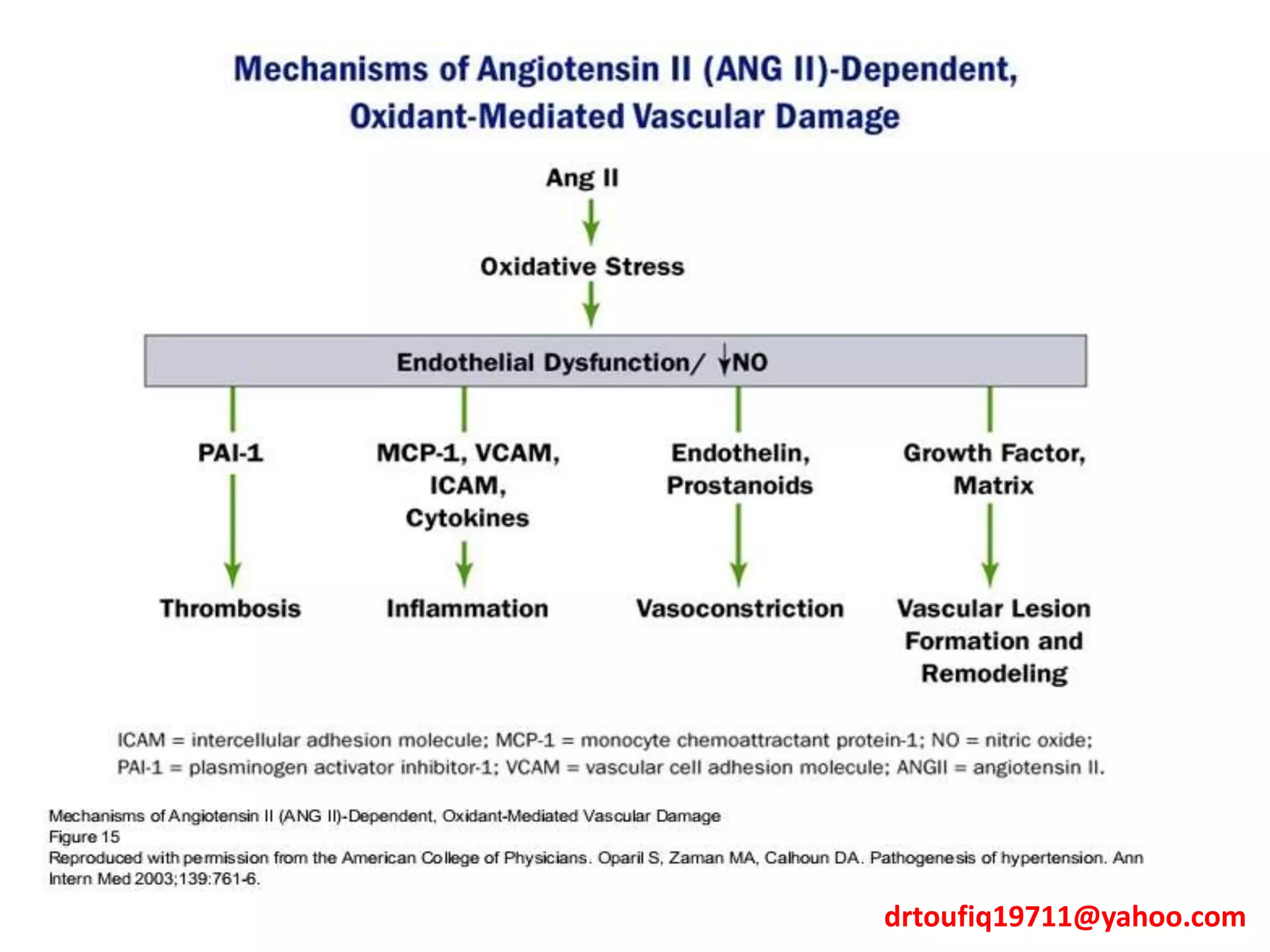 Hypertension - definitions, etiology and mechanisms | PPSX