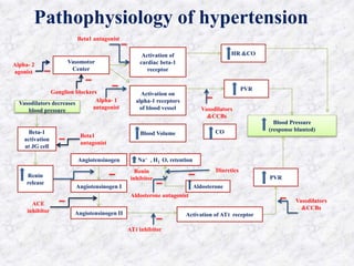 Hypertension and its prevention | PPTX