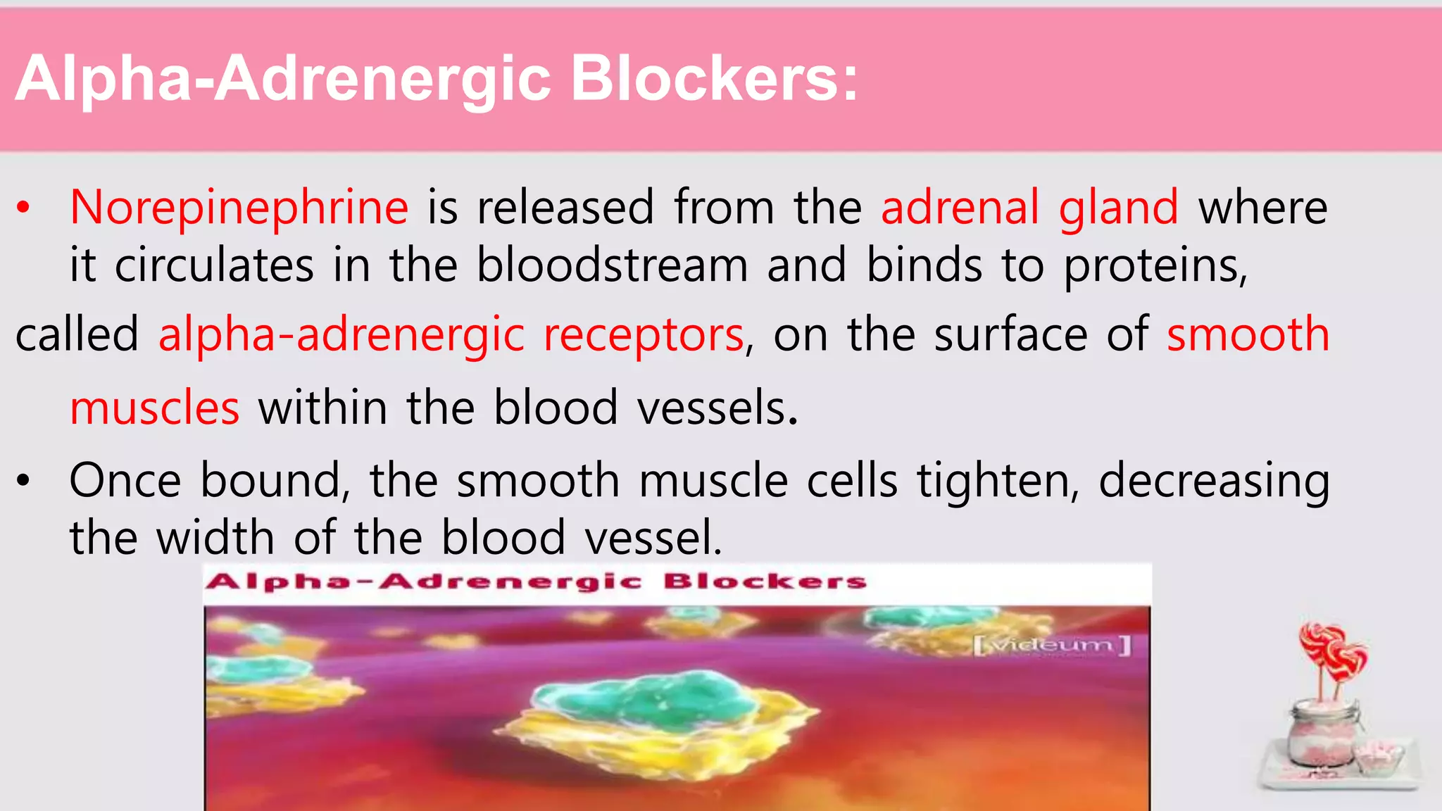 Hypertension pharmacological management | PPTX