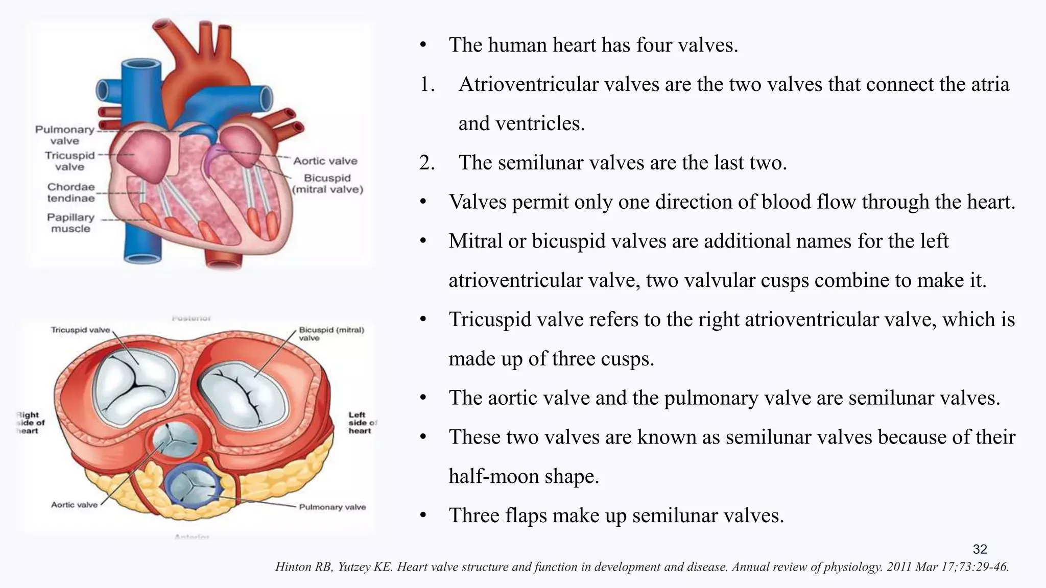 Hypertension case.pptx