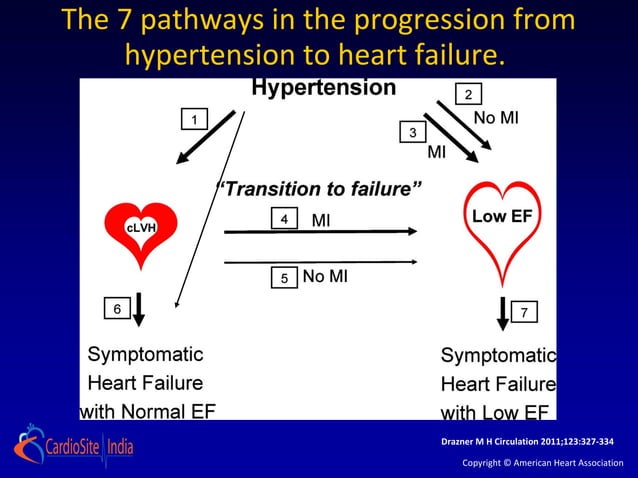 Hypertension & heart | PPT | Heart and Cardiovascular Diseases ...