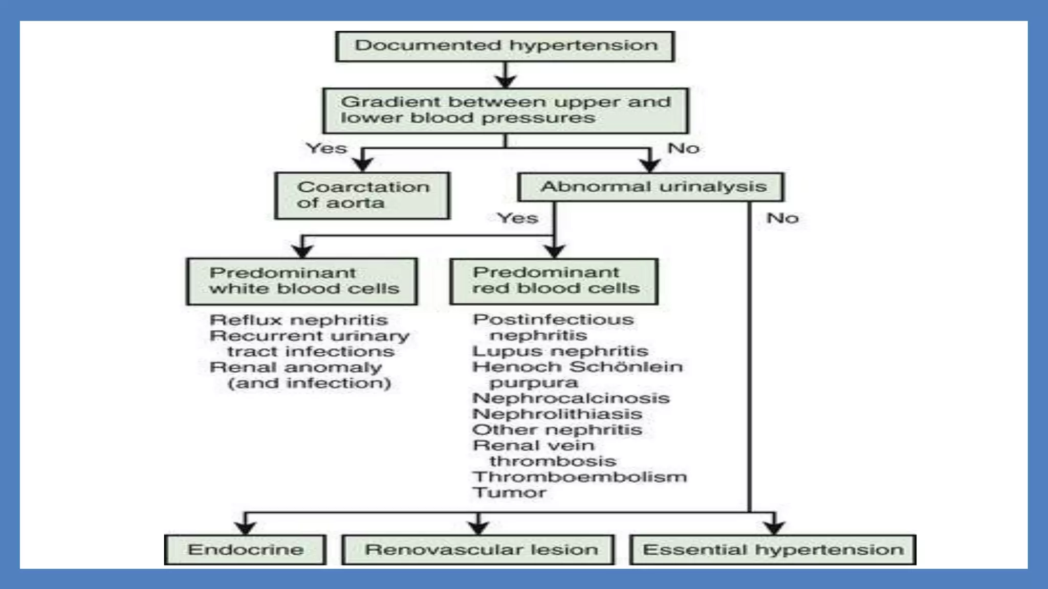 pediatric hypertension workup and evaluation | PPT