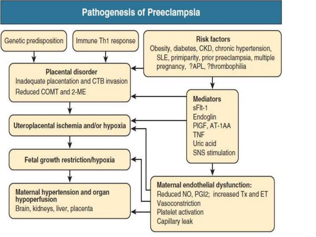Hypertension in pregnancy | PPTX