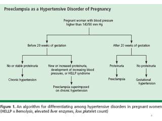 Hypertension in Pregnancy power point for ho | PPT