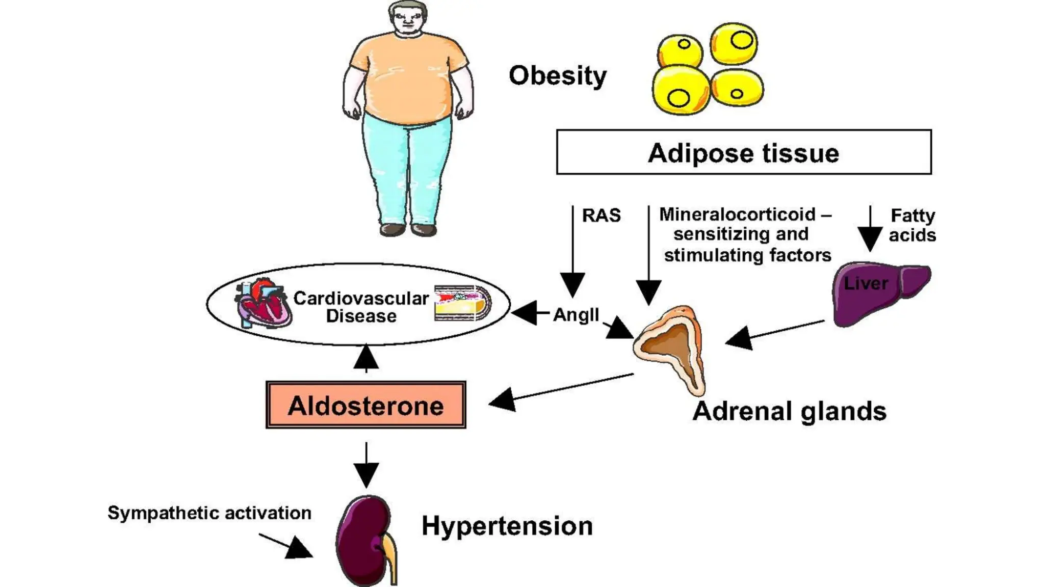 Hypertension Pathology.pptx