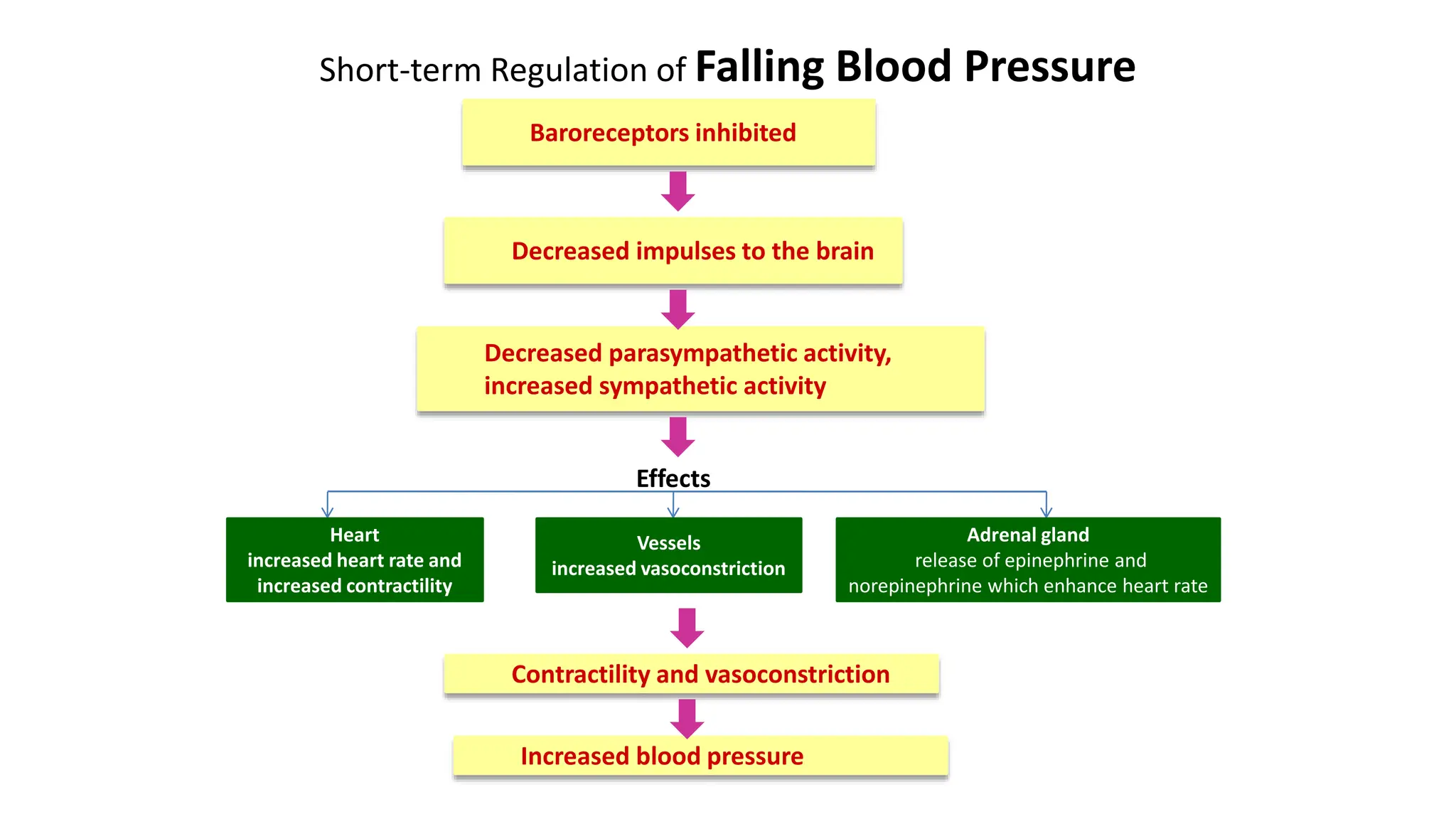 Hypertension Pathology.pptx