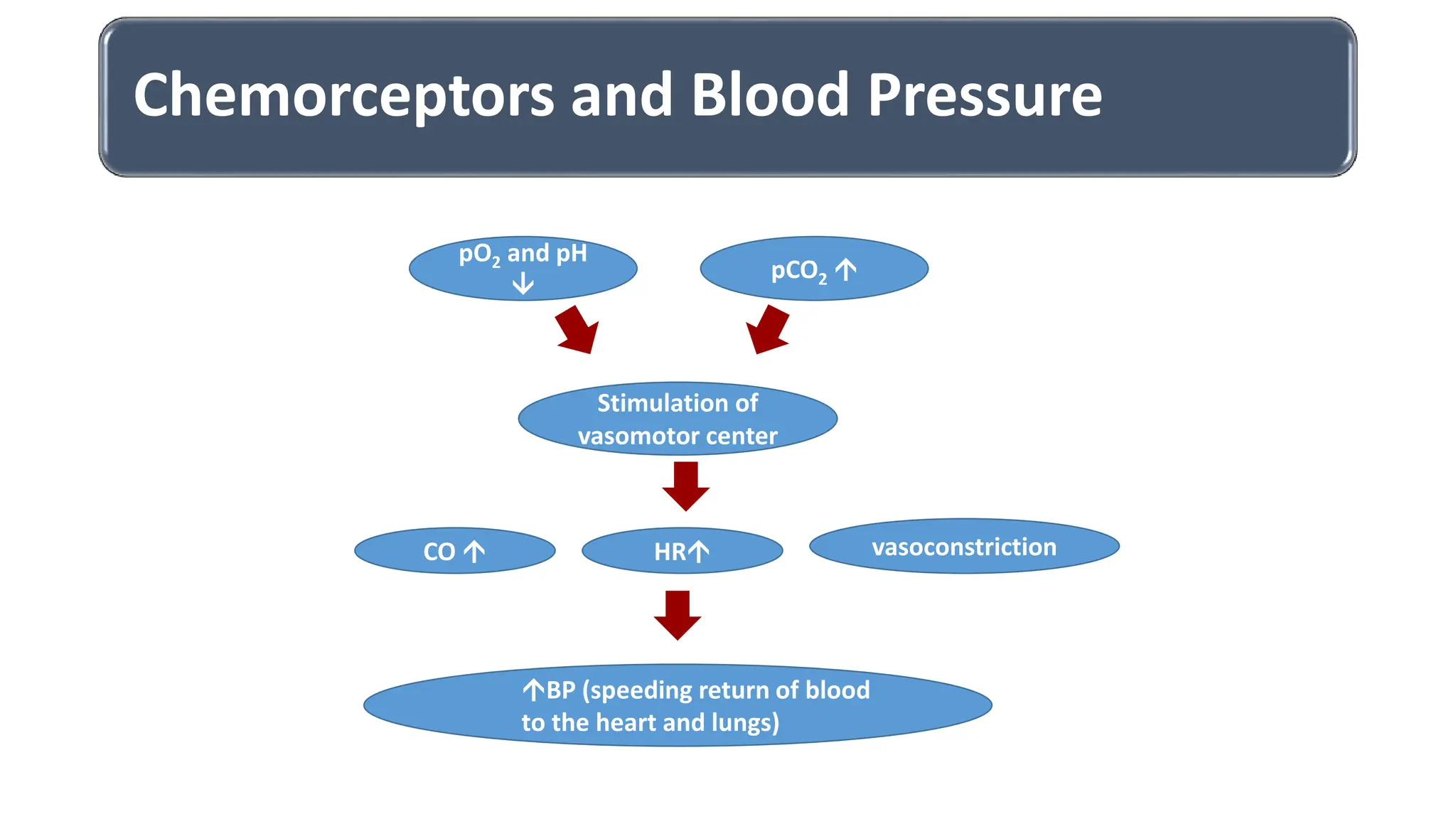 Hypertension Pathology.pptx