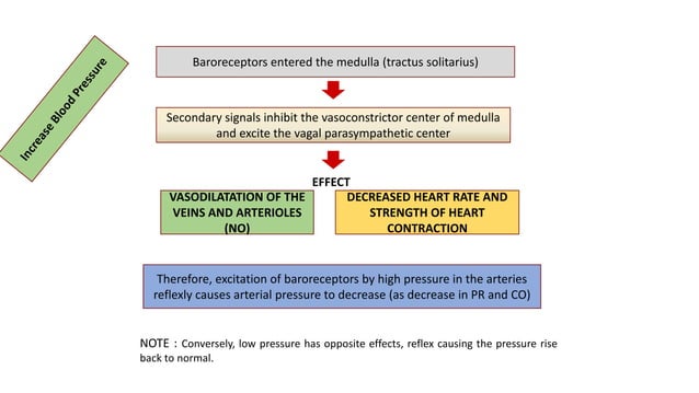 Hypertension Pathology.pptx