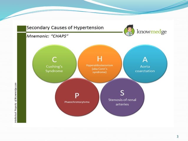 Hypertension Lecture-5.pptx for pharmacy students | PPT