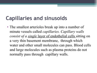Hypertension | PPT | Heart and Cardiovascular Diseases | Diseases and ...