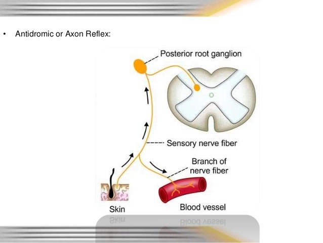 ALL ABOUT HYPERTENSION FOR OMF SURGEONS part 1