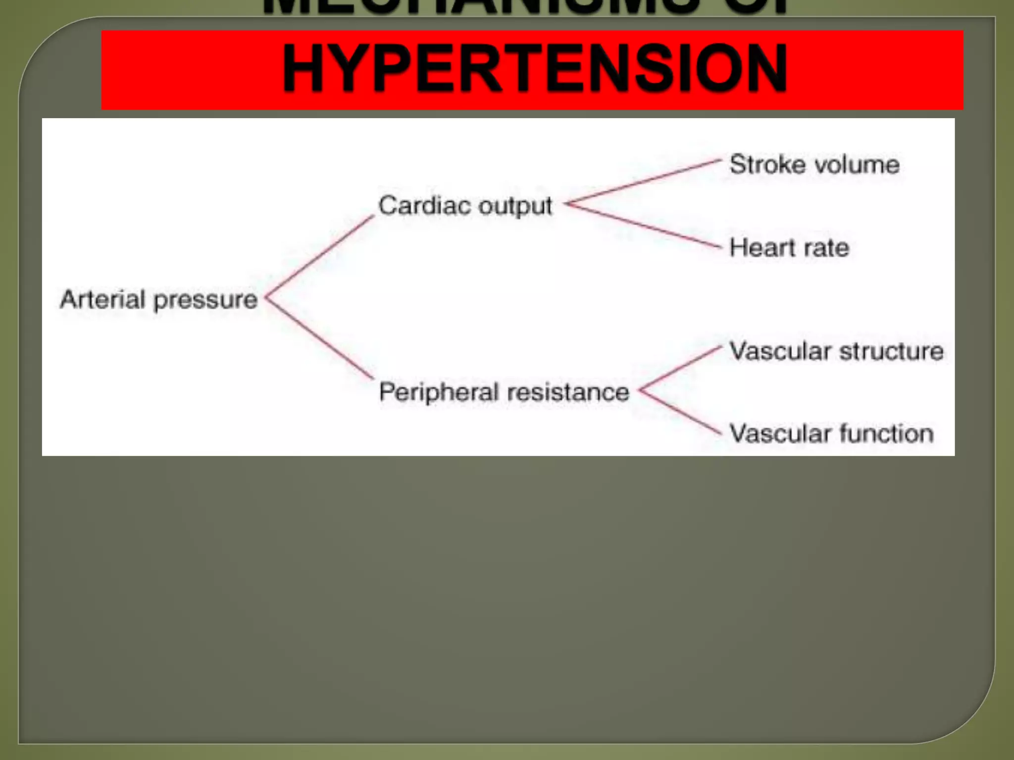 Hypertension pathophysiology | PPTX