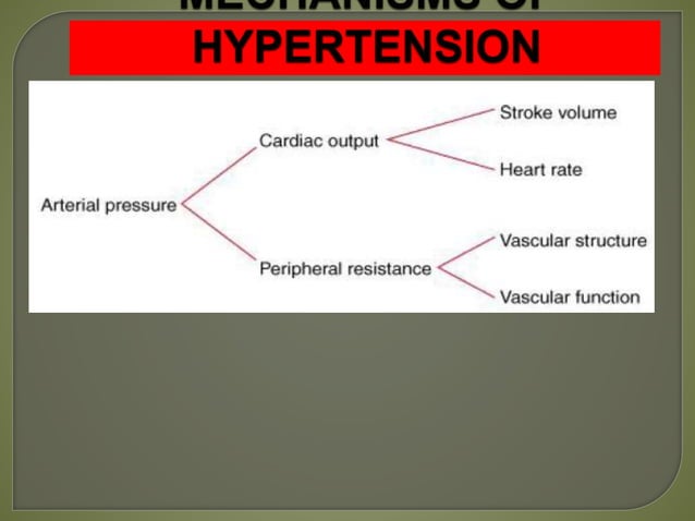 Hypertension pathophysiology | PPTX
