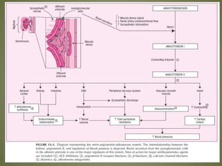 Hypertension pathophysiology | PPTX