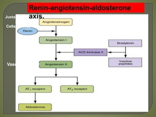 Pathophysiology Of Hypertension The Nursing Corner